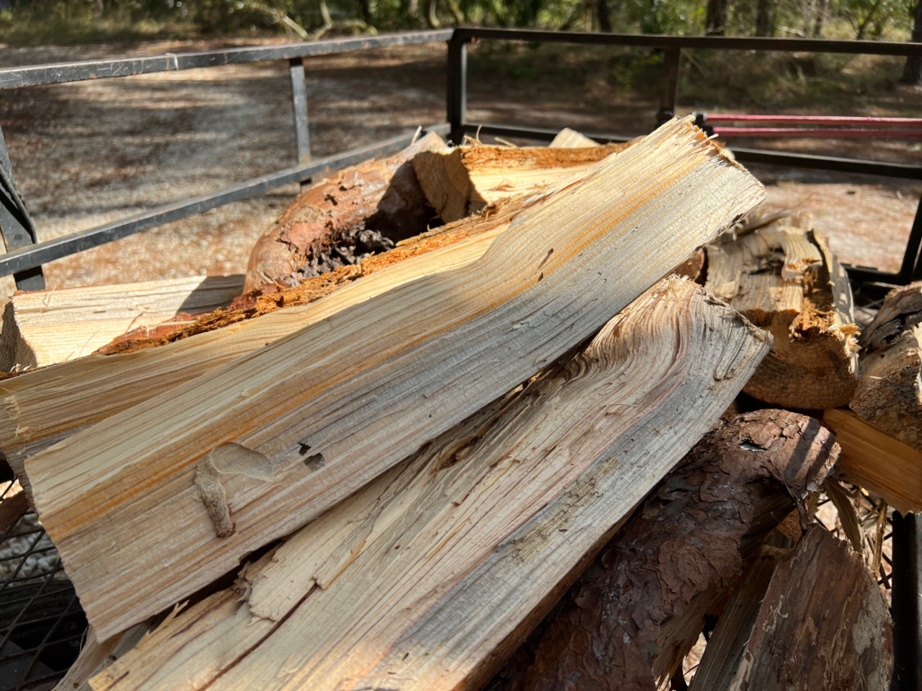 Bent Pine Farm | a Fairhaven Learning Project